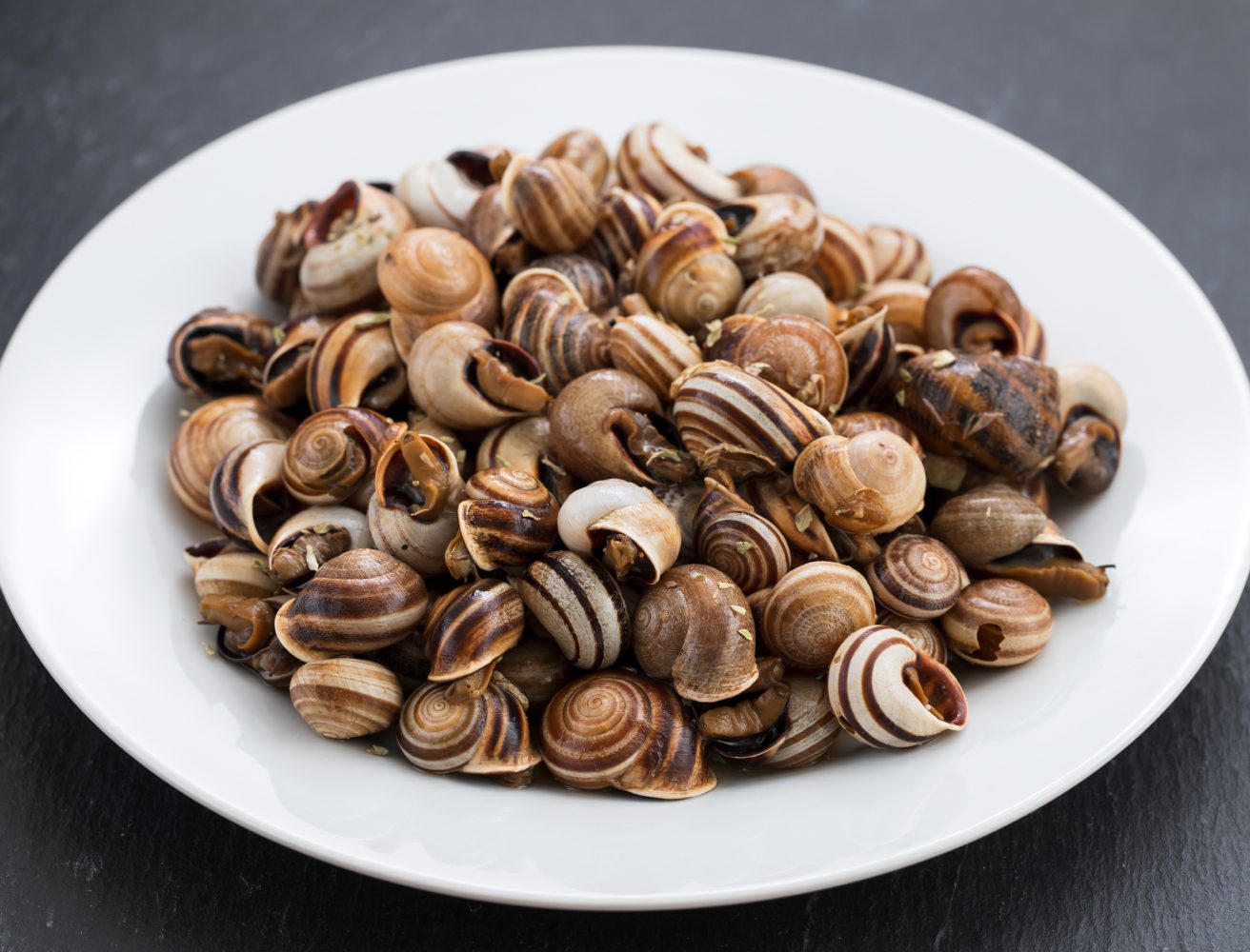 Caracóis à Portuguesa - Casa dos Caracóis