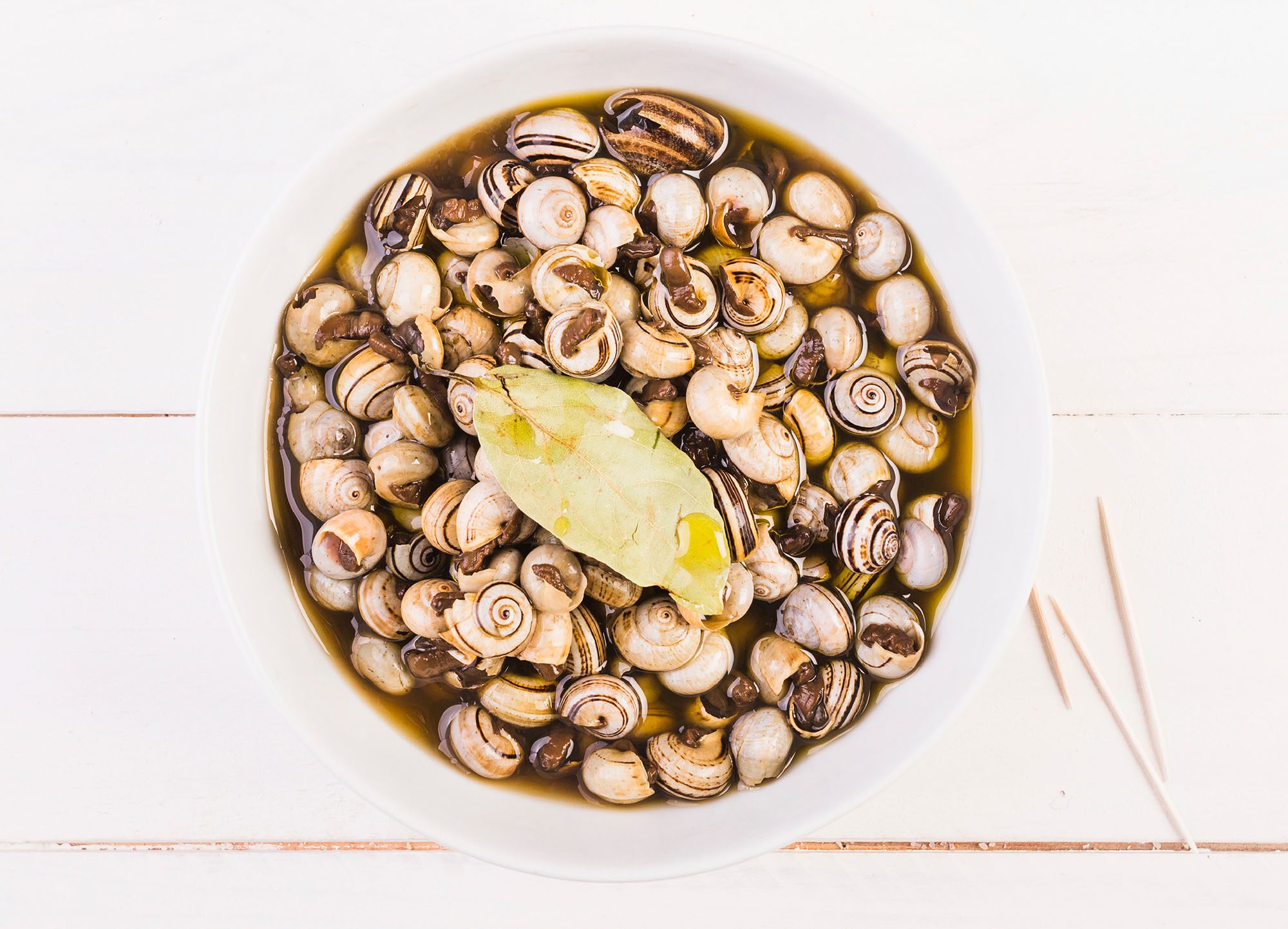 Como os Caracóis Podem Transformar a Sua Dieta: 5 Benefícios ...